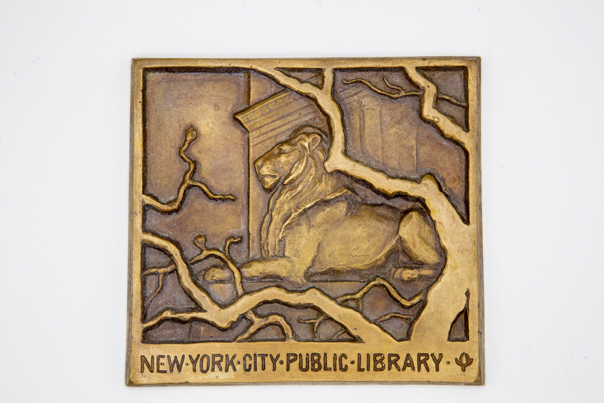 Heidi Wastweet | AMSA Medal Exhibit 2021