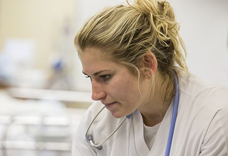 Detroit Mercy’s online graduate Nursing program achieves national ...