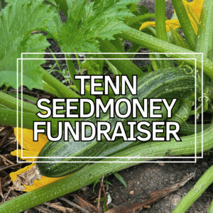 TENN SeedMoney fundraiser runs through Dec. 15 – Detroit Mercy Campus ...
