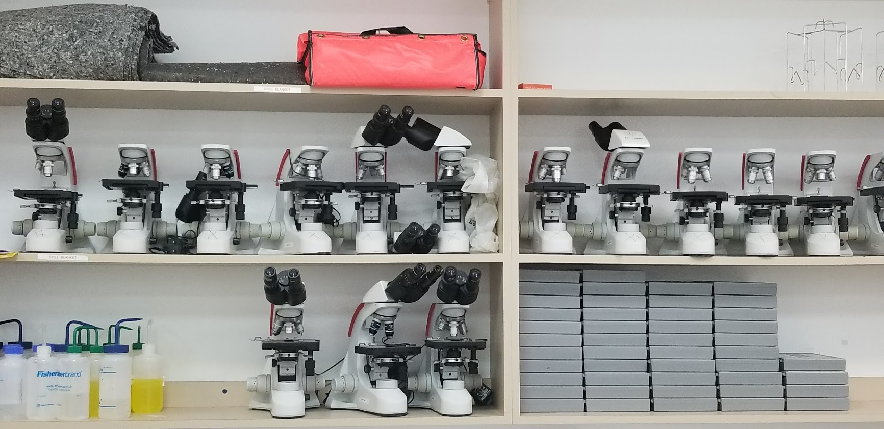 The SAAHP Health Professions Fair for Students will take place this ...