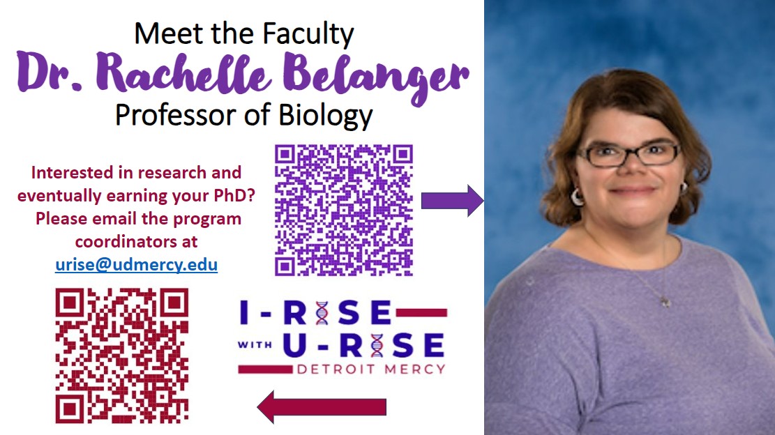 Pre-Health Advisor | Launch a career in healthcare, medicine or dentistry